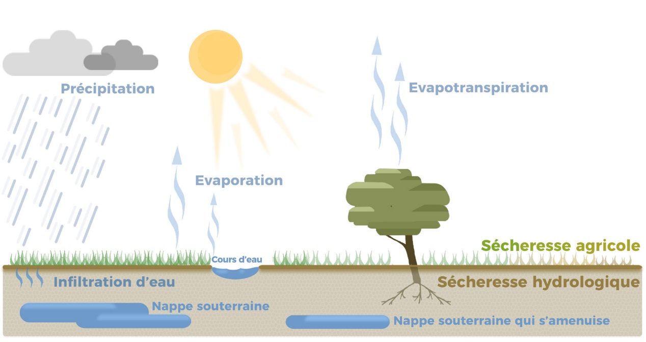 Actualités météo: La sécheresse est-elle toujours d'actualité ? 09/05/2023
