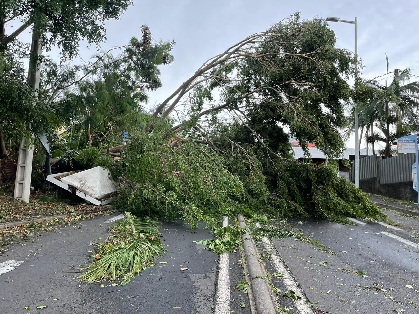 Actualités météo: Bilan du cyclone Belal : dégâts et victimes à la ...
