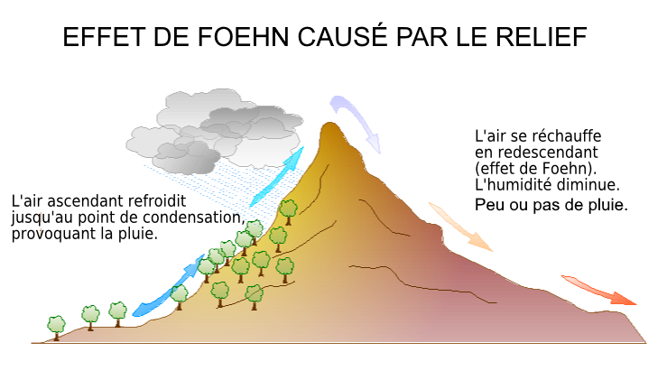 Sécheresse : Alsace, Limagne... ces régions où la pluie manque toujours