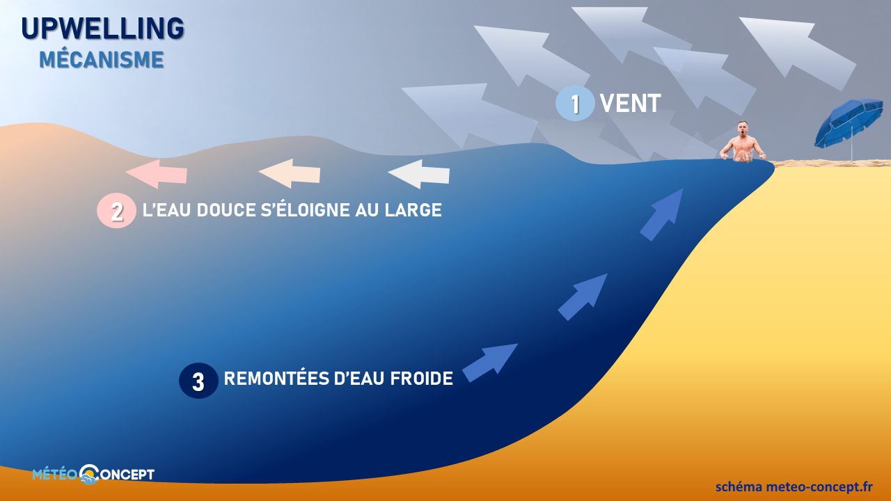 Actualités météo: Eau froide en Méditerranée : qu'est-ce que l'upwelling ? 07/08/2023